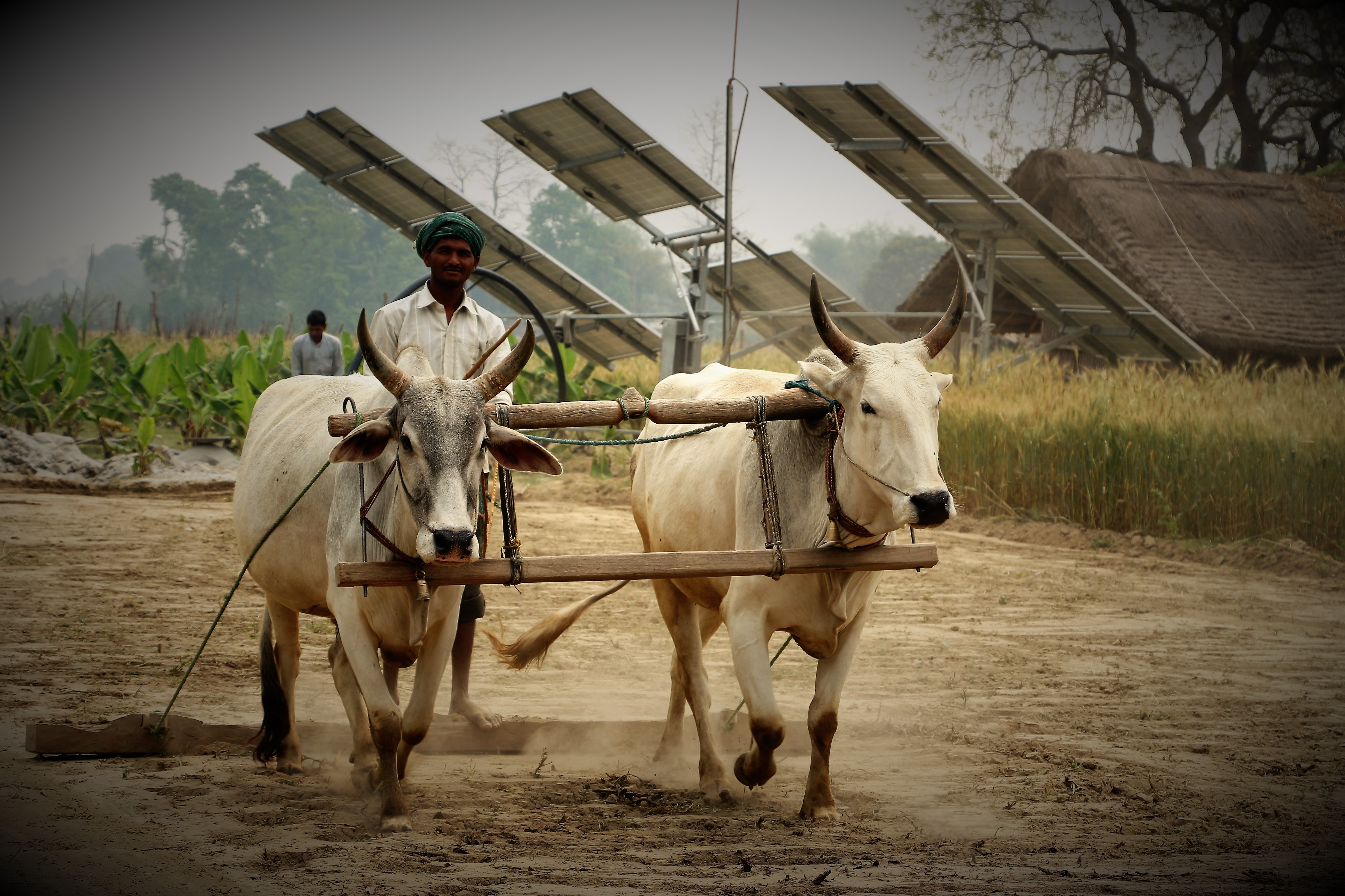 DEHAT | Because every child matters The "Swavalamban" Initiative ...